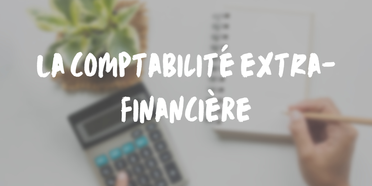 Comptabilité extra-financière : pourquoi et comment se lancer ? - Rive ...